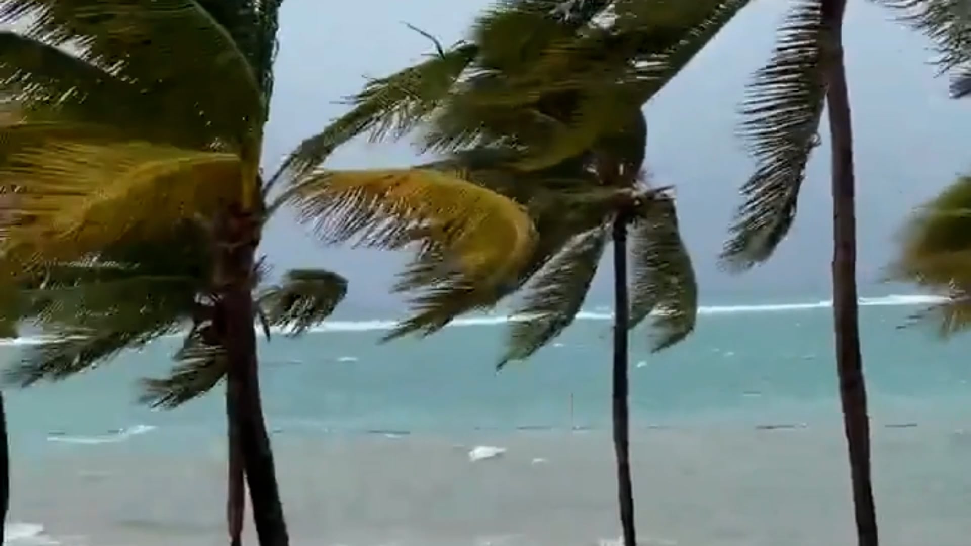 Efterdyningarna av orkanen Melissa: Dokumentation av Jamaicas ...