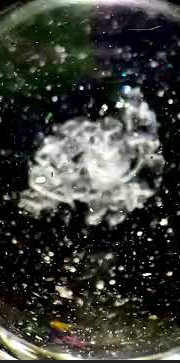 Scientist discovers how to make MAGIC GLITTER under the microscope!