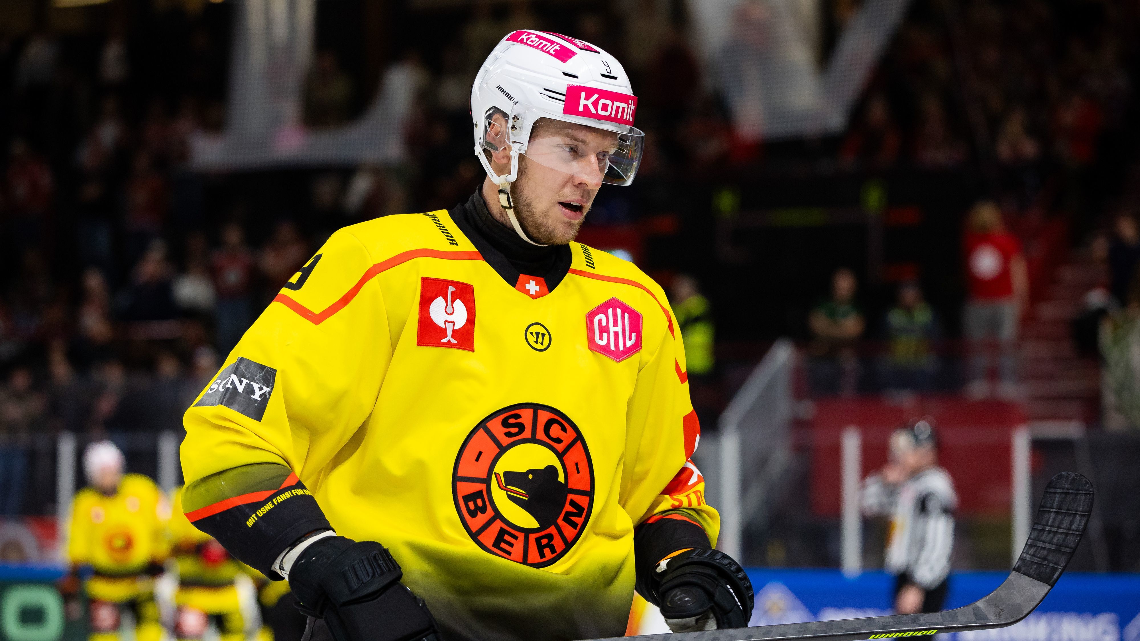 SCB-Stürmer Ejdsell steht im Fokus mehrerer Vereine