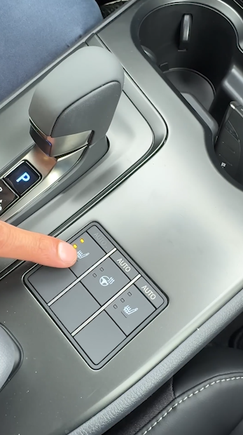 Lexus UX 300h Interior ASMR