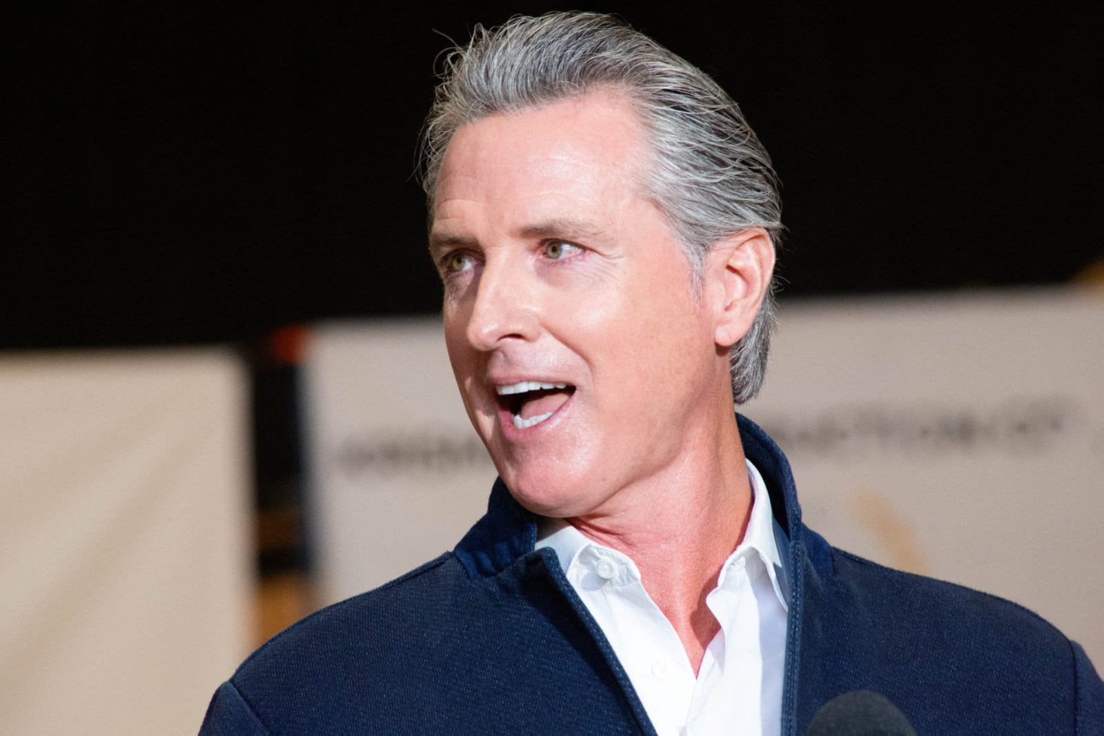 ‘The View’ melts down over Newsom’s rigged election claims