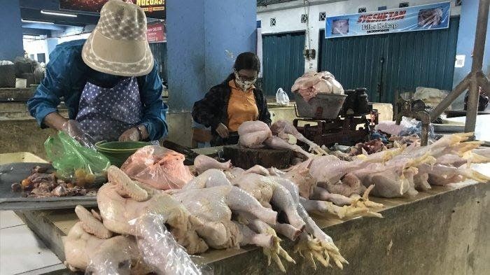 Makan Ayam Broiler Berbahaya Bagi Kesehatan? Cek Mtos Dan Faktanya