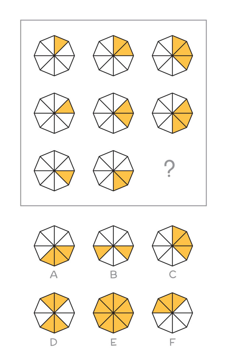 Kruhová logika: Který obrázek navazuje?
