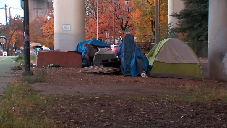 Portland City Council grows more divided after rejecting homeless sweep ...
