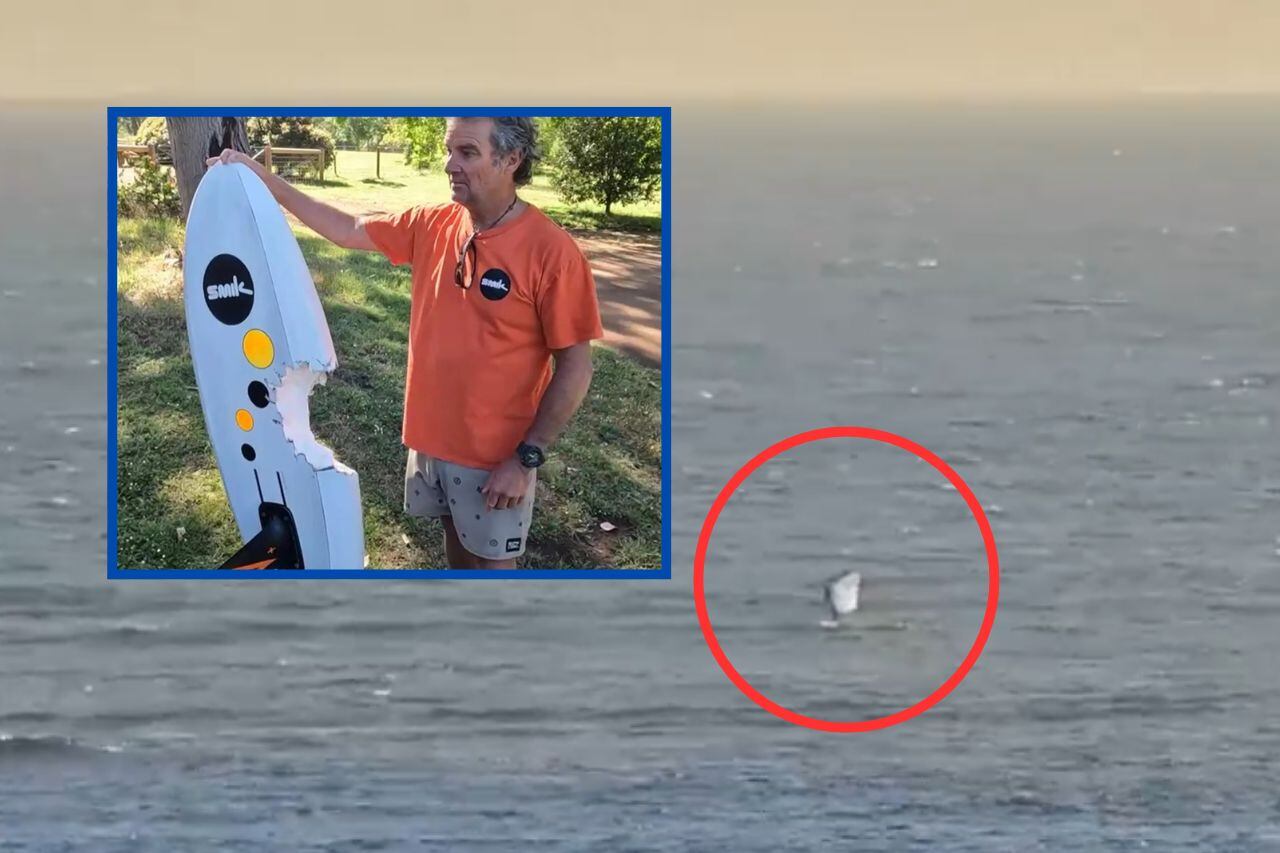 Windsurfista australiano sobrevive a ataque de tiburón en Margaret ...