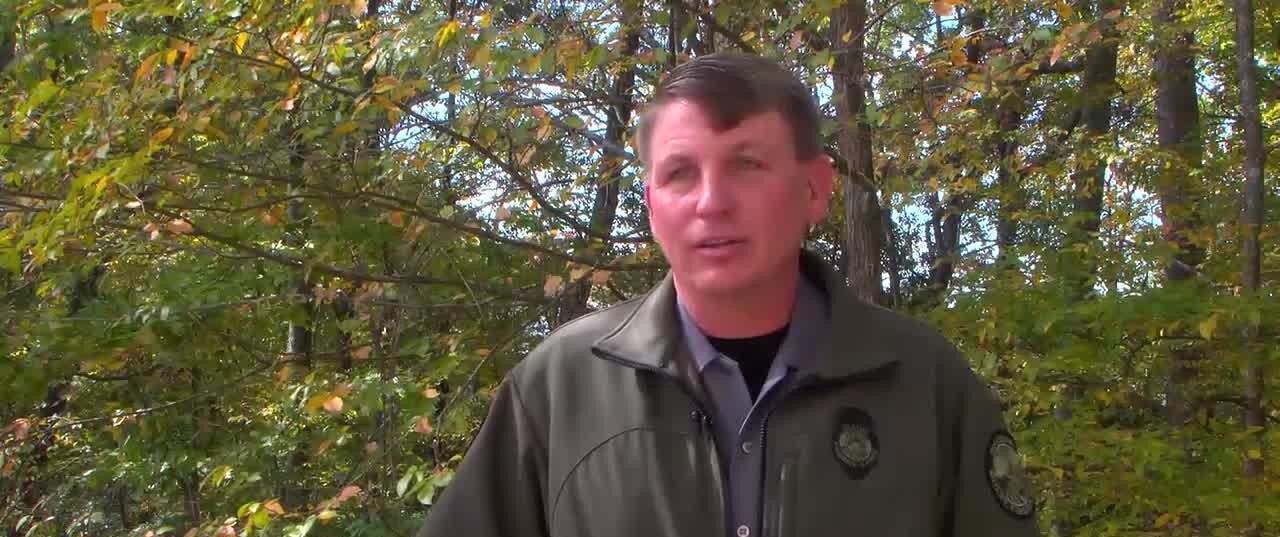 Hunting safety tips for rifle deer season