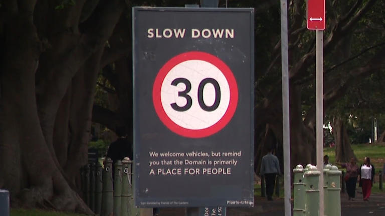 Doctors and road safety experts call for lower speed limits in NSW ...