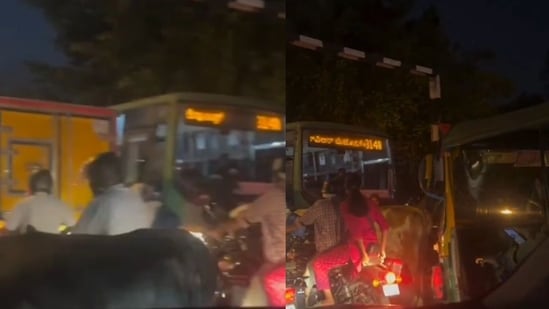 'Bengaluru traffic shows no mercy': Viral video captures cows stuck in ...