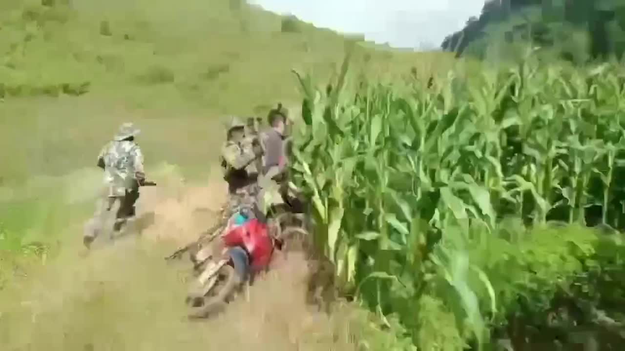 Wildlife rangers clash with suspected poaching gang in forest gunfight