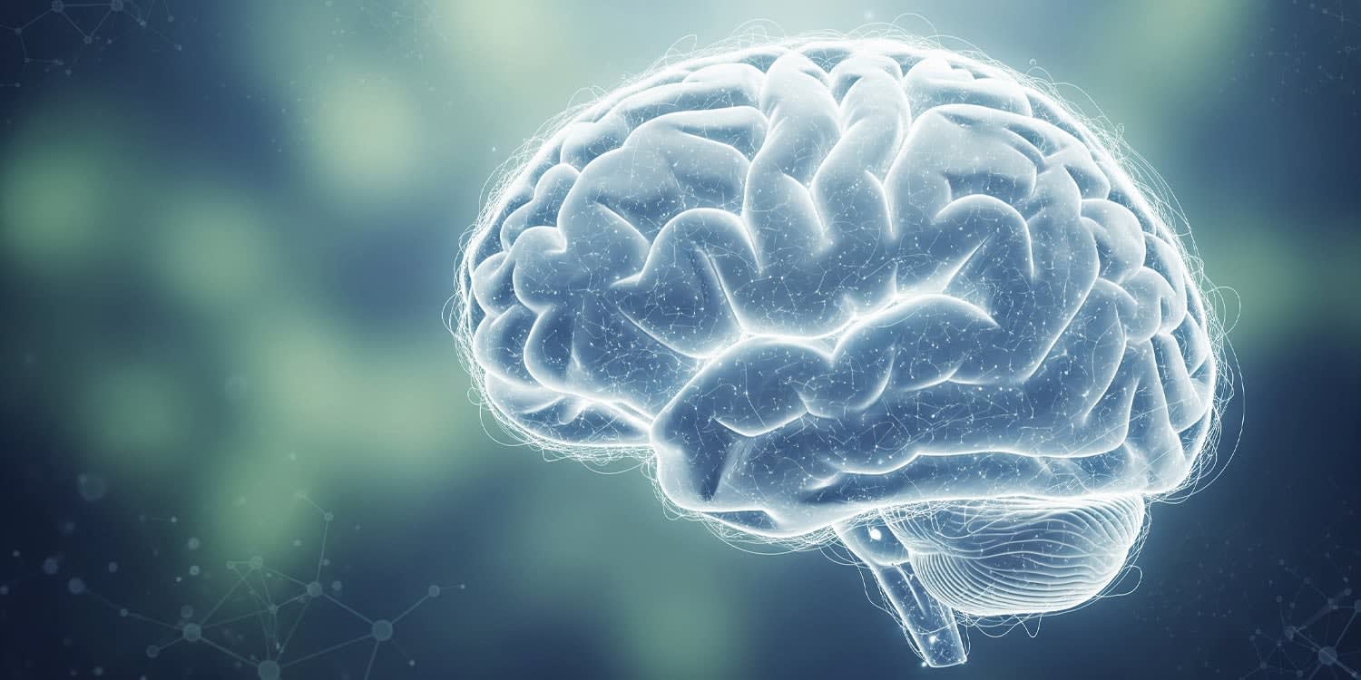 Scientists identify a crucial brain feature connecting genetics to ...