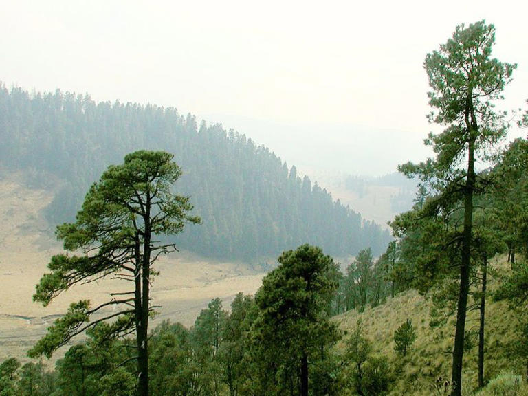 Yes, You Can See Snow in Mexico ️ But You'll Need to Go to These 15 ...