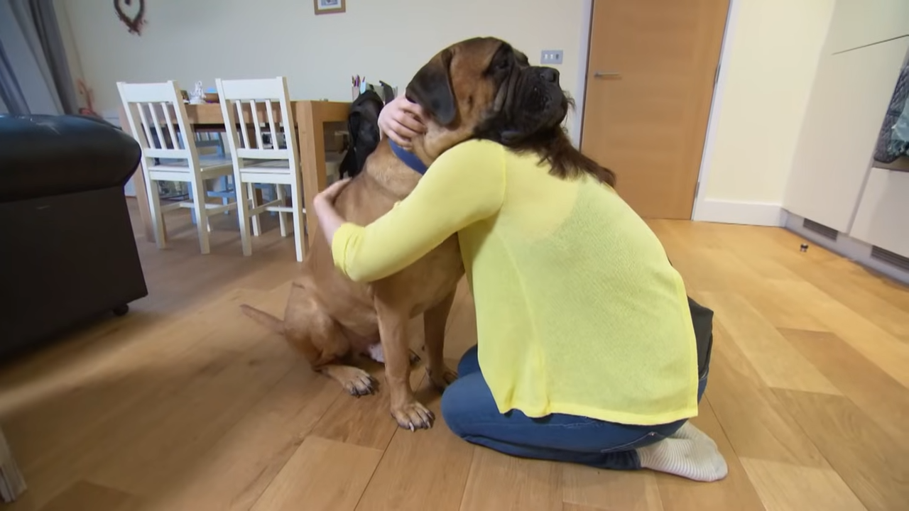 This is the story of a rescue dog with a nightmare mouth