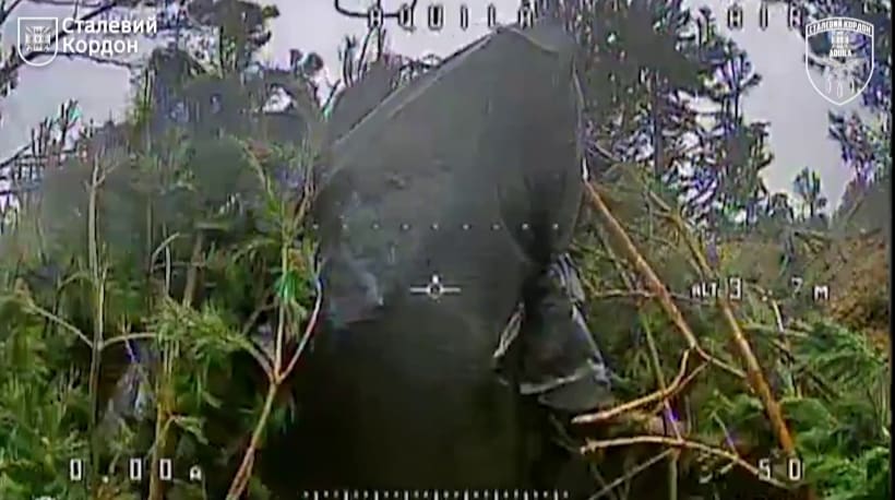 Ukrainian unit destroys Russian D-20 howitzer with drone – video