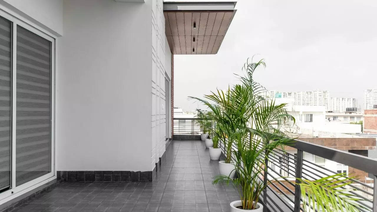 How to keep pigeons away from your apartment balcony naturally
