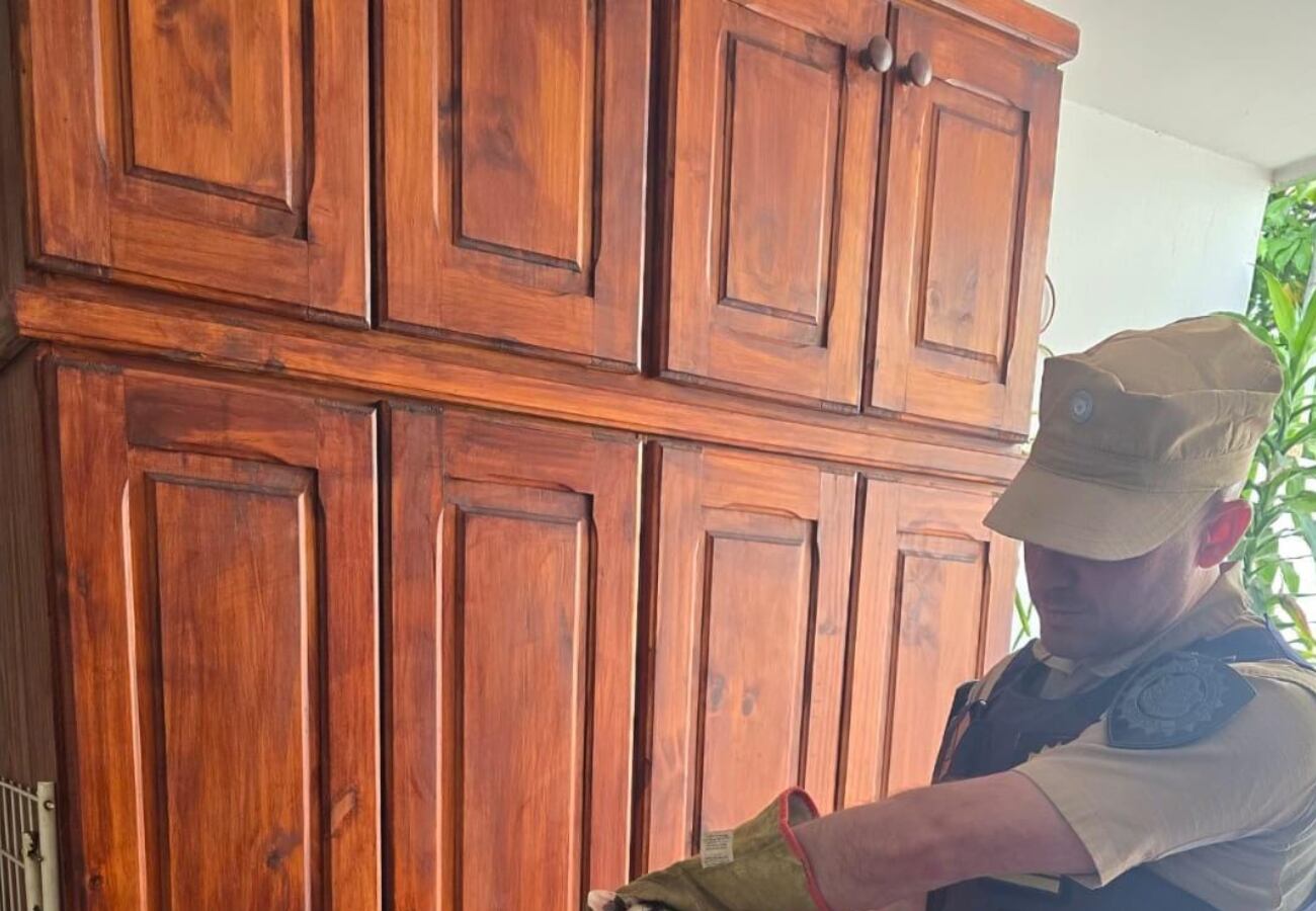 Abrió un armario y encontró un inesperado animal con sus crías en Córdoba