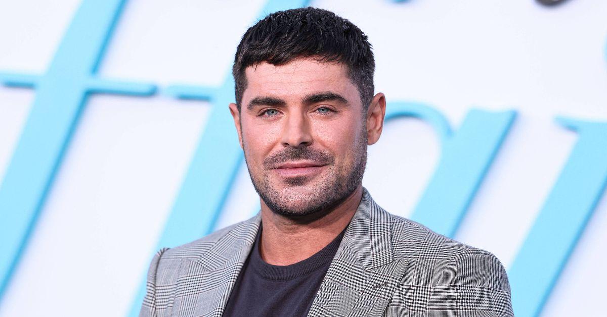 'My Ears!': Zac Efron's 'Real Singing Voice' From 'High School Musical ...