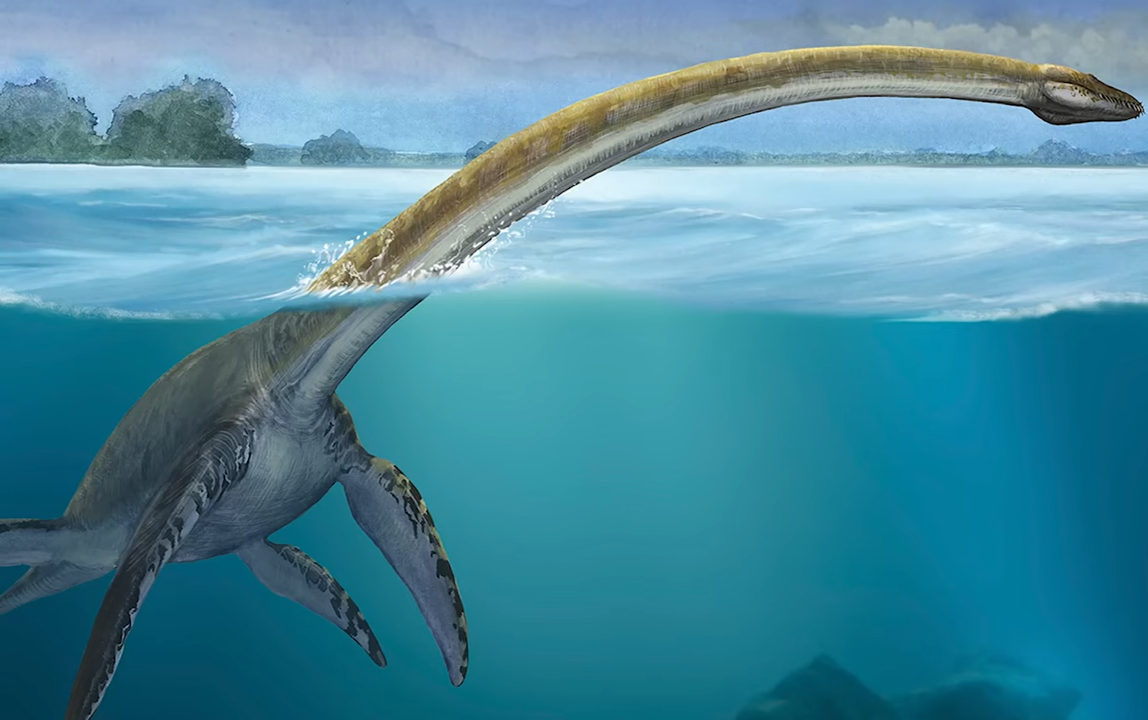 Did Some Sea Dinosaurs Survive to Today?