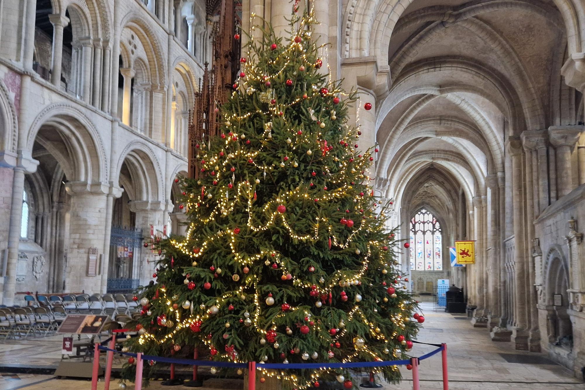 It's Beginning to Look a Lot Like Christmas: Decorations flying up in ...