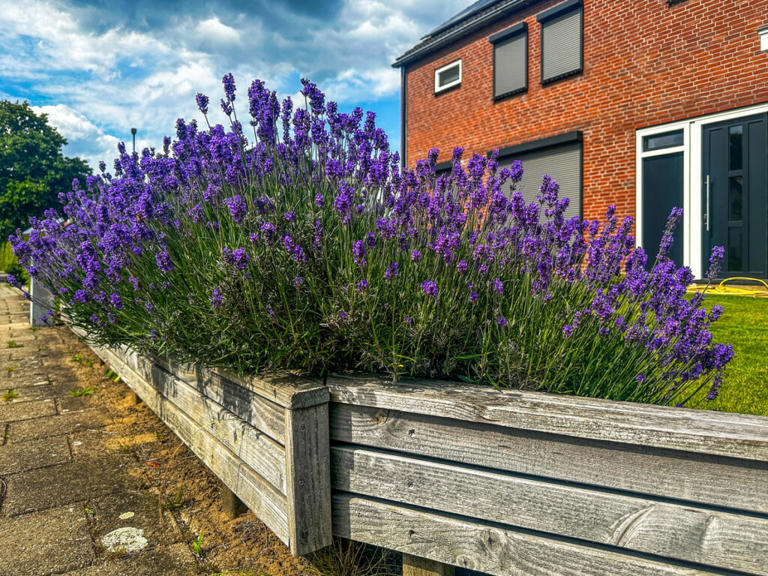 13 things on your property you don’t legally own, even if the house is ...