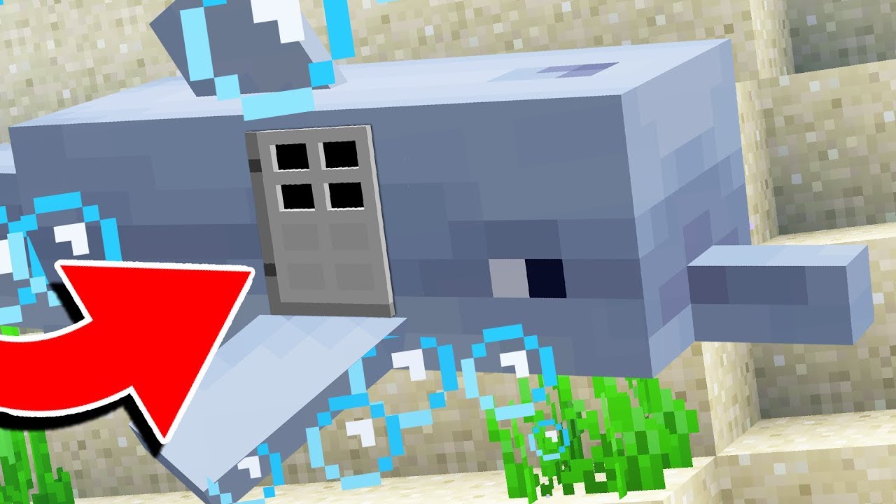 Living inside a dolphin in Minecraft survival