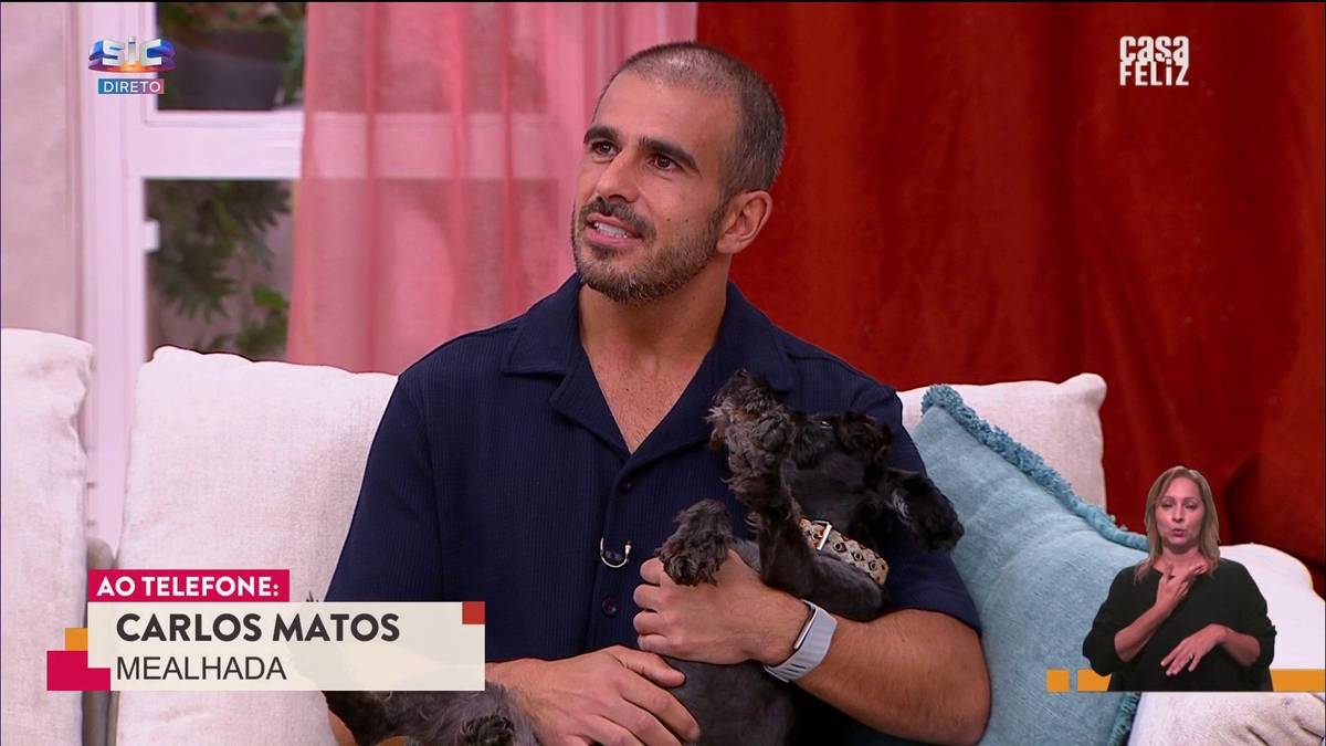 Como proteger os cães durante a trovoada? Veterinário responde.