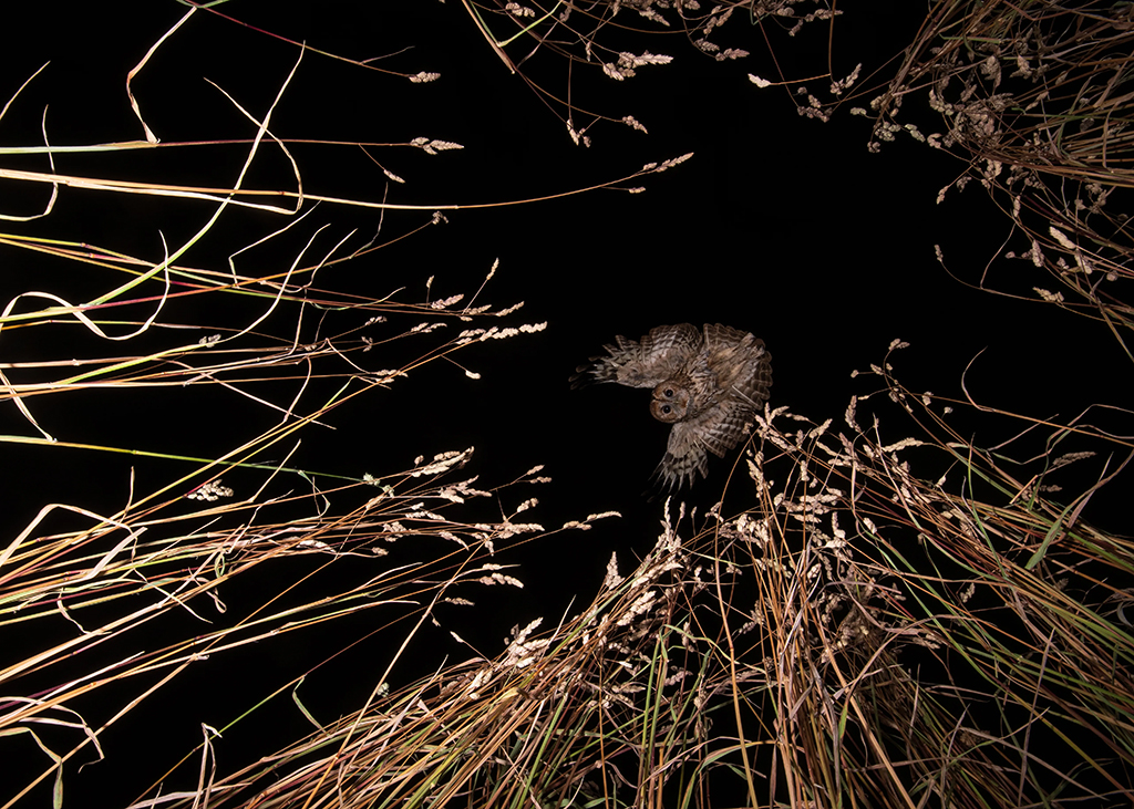 Check out the top night and low light photographs!