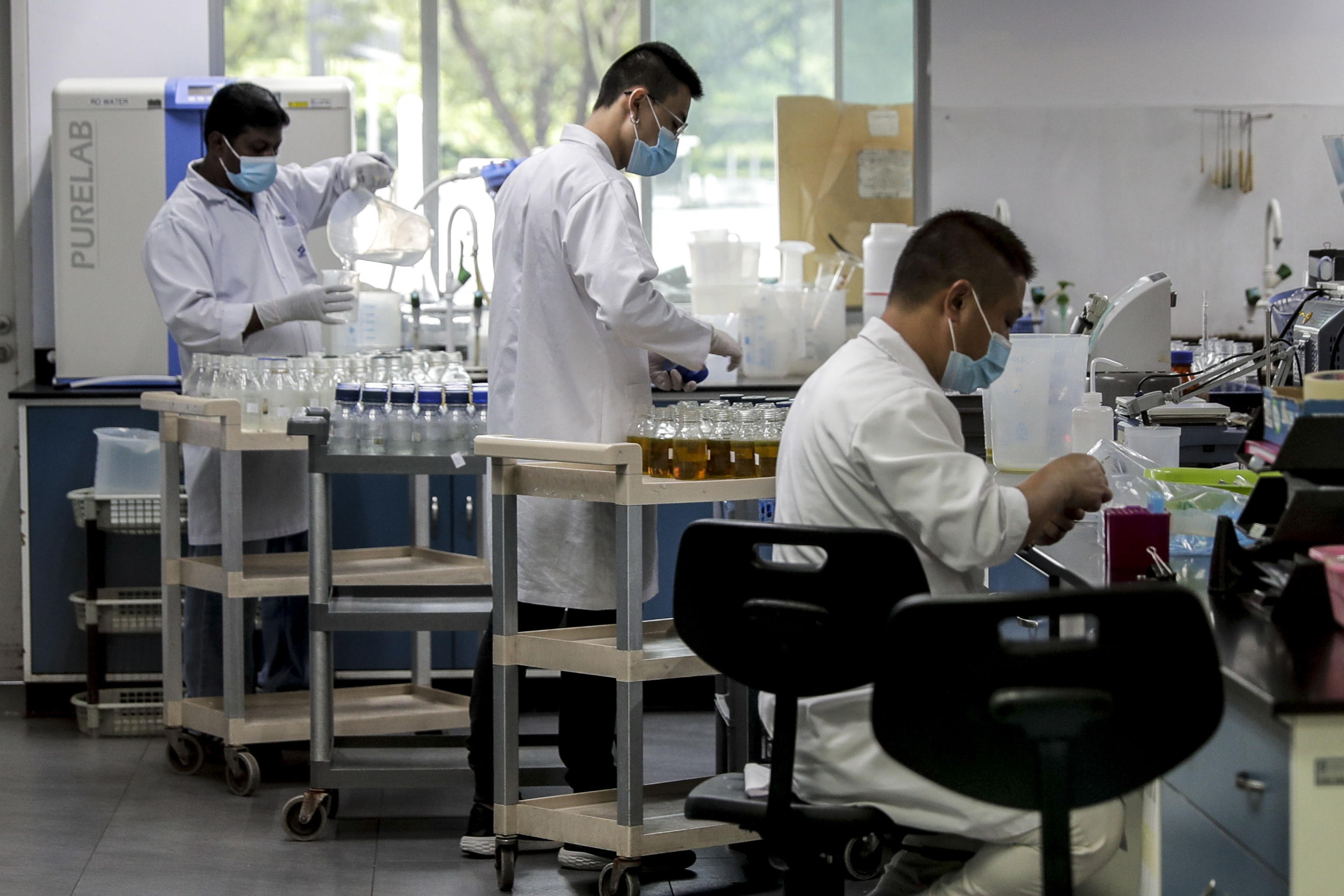 Vescicole 'mimetiche' aprono a nuove terapie per le allergie