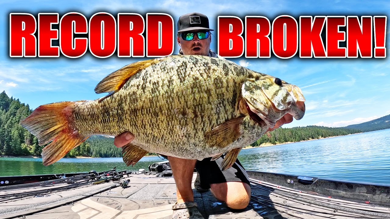 World record bass spotted biggest smallmouth of my life