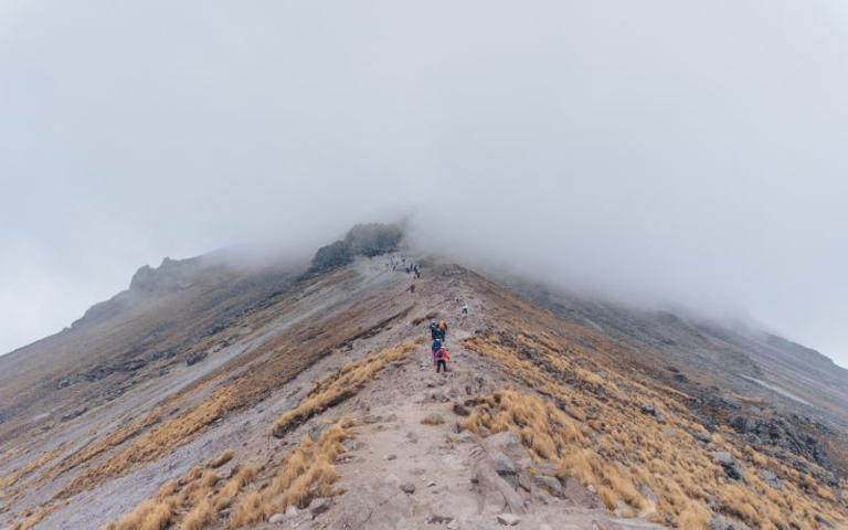 Yes, You Can See Snow in Mexico ️ But You'll Need to Go to These 15 ...