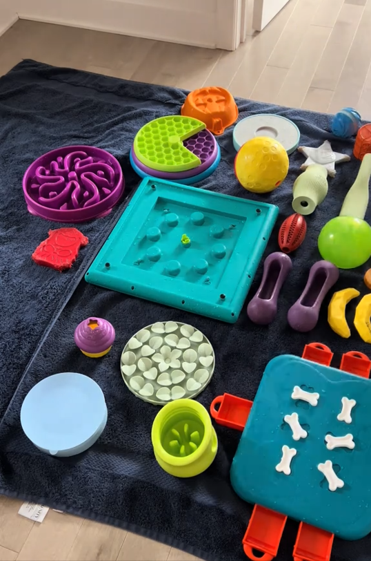 Cleaning Dog Toys: Simple Tips for a Happy, Healthy Pup