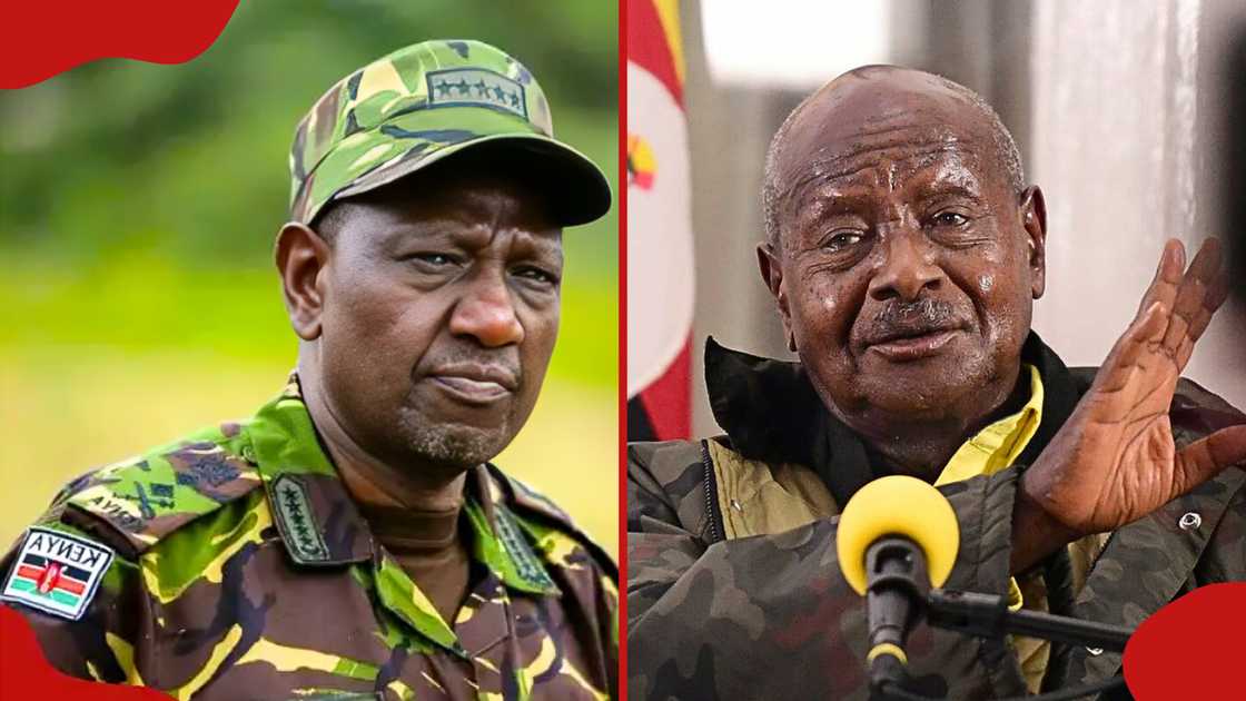 Uganda has no capacity to fight Kenya, analysts explain after Museveni ...
