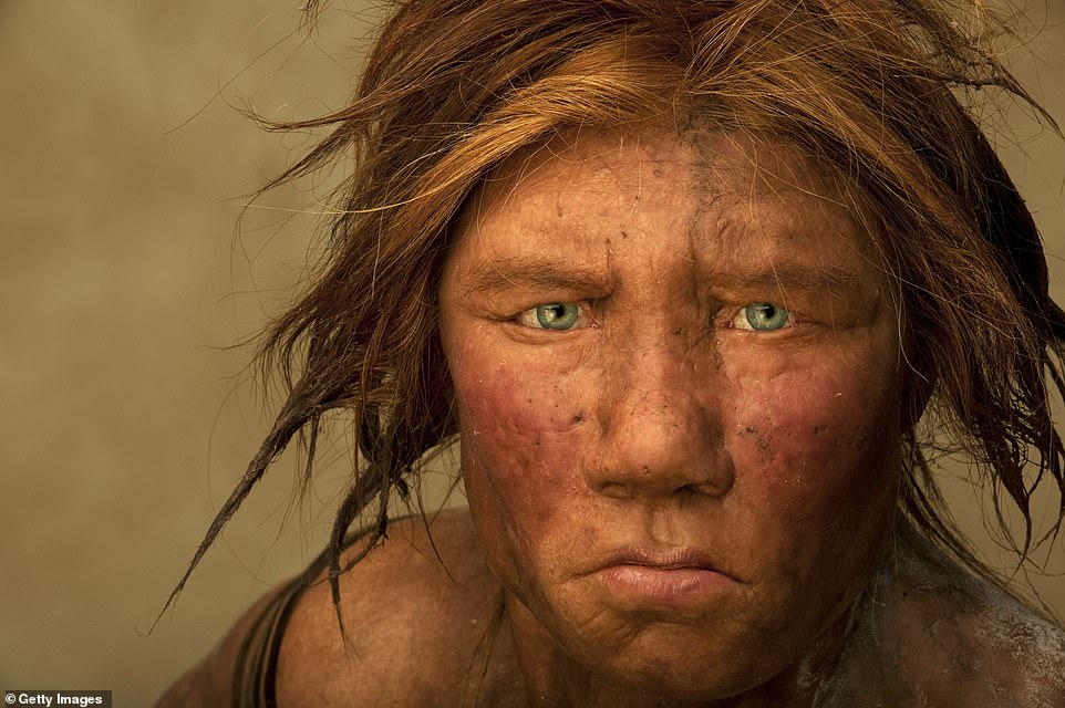 Study: Neanderthals never truly went extinct