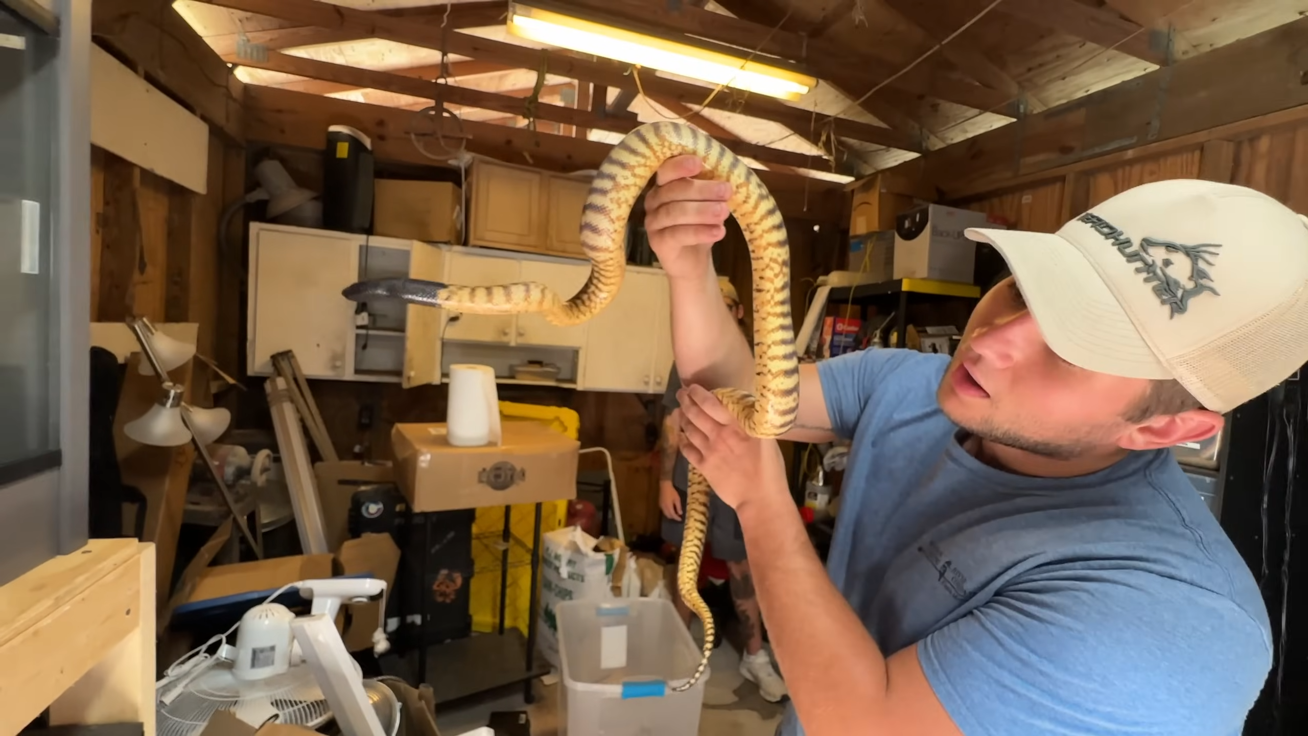 Training Venomous Snakes With The Boys