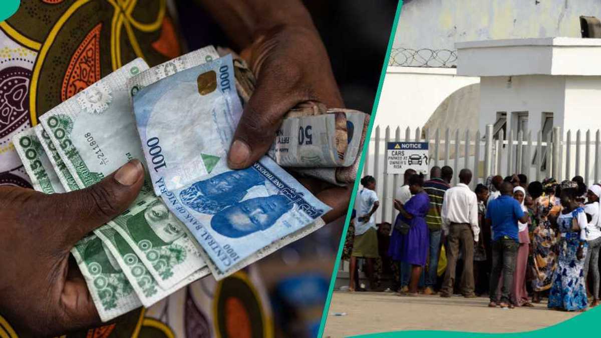 Find out more as CBN releases updated lending rates of Access, UBA ...
