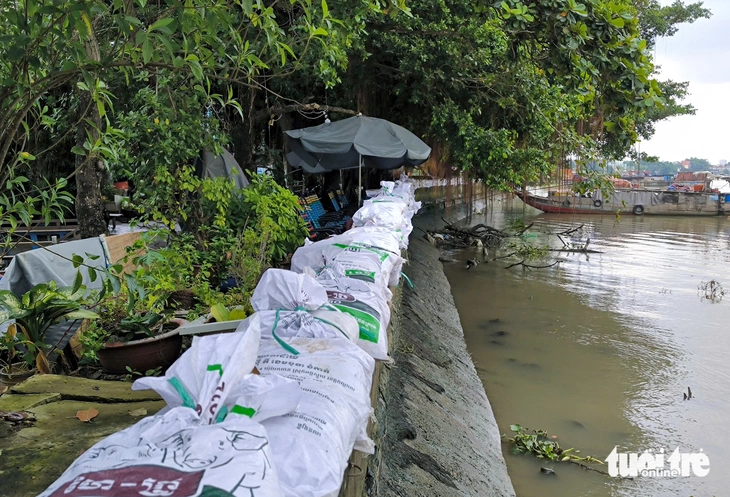 Báo động triều cường ở TP.HCM ngày càng cao, đỉnh triều có nơi 1,88m