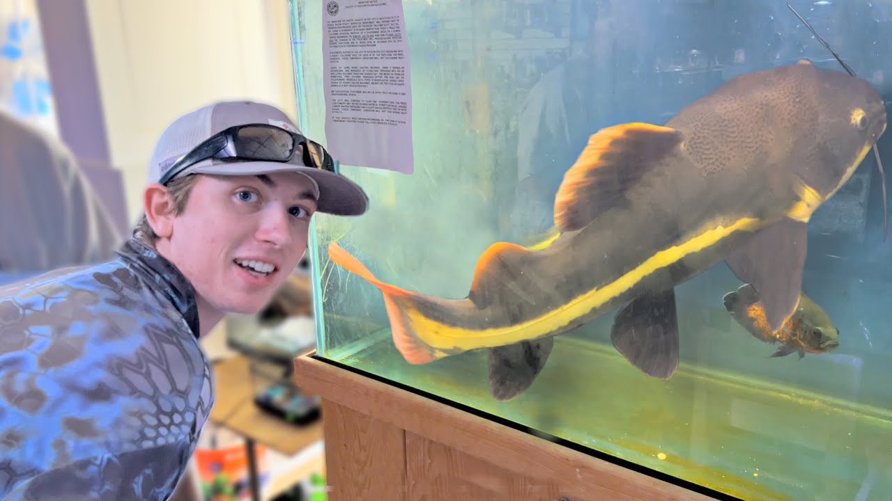 We brought home a fish and it outgrew the tank in about five seconds