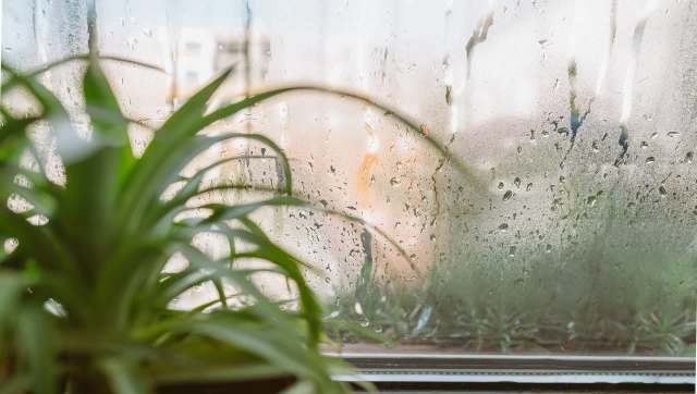 Engineers build incredible machines that can pull water from thin air ...