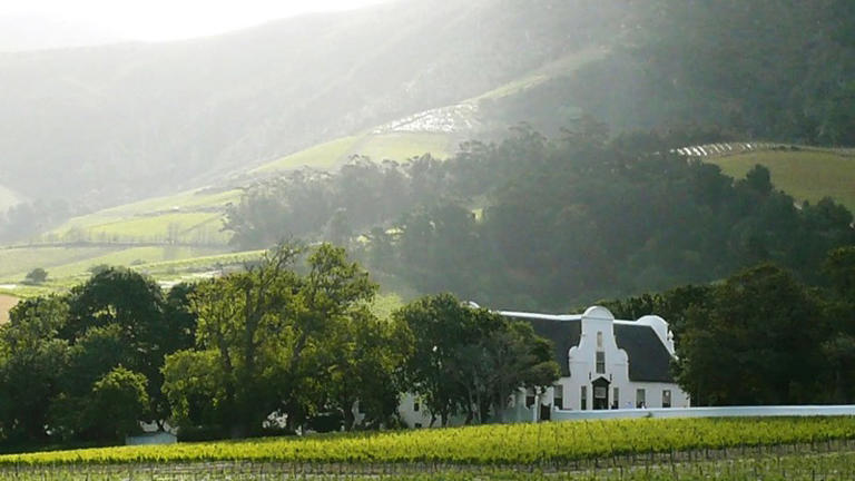 SA wine industry celebrates global success as six local estates make ...