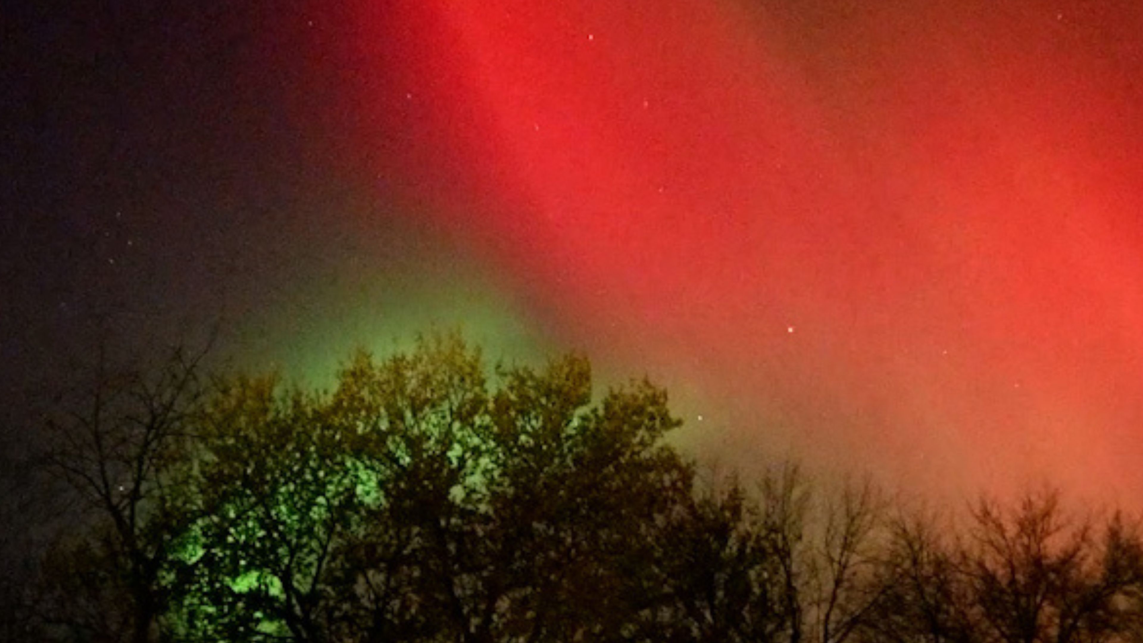 Aurora lights up night sky in blazing red and green