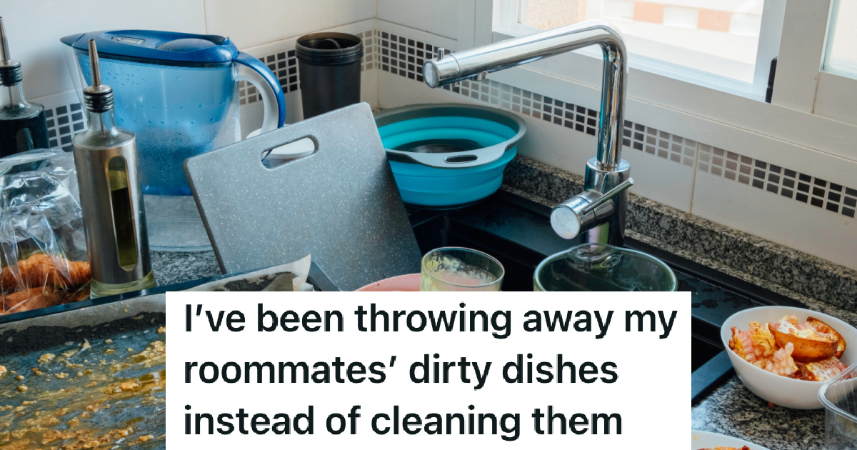 His Roommates Never Cleaned Their Dirty Dishes, So He Started Throwing ...
