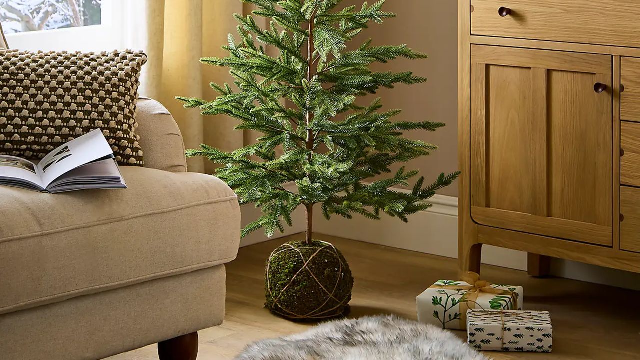 Wait, This Japanese Horticulture Idea Just Became the Cool, Minimalist ...