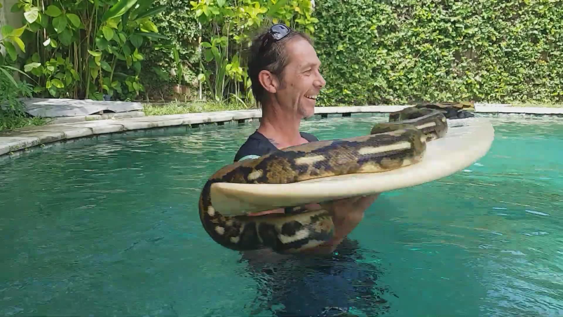 Snake spotted surfing in the ocean waves