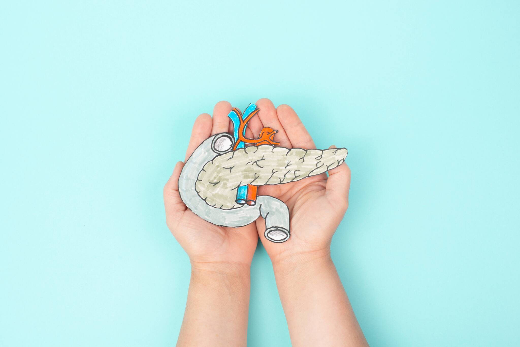 Bauchspeicheldrüsenkrebs nutzt Nervensystem für Wachstum