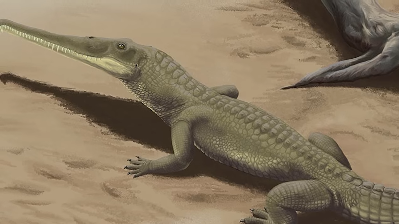 Triassic Monsters: Archosaurs That Shaped Our Planet