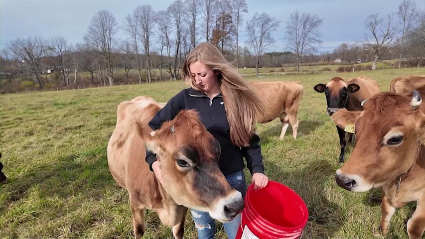 Road Trip Close to Home: Farm-fresh meats and dairy featured at ...