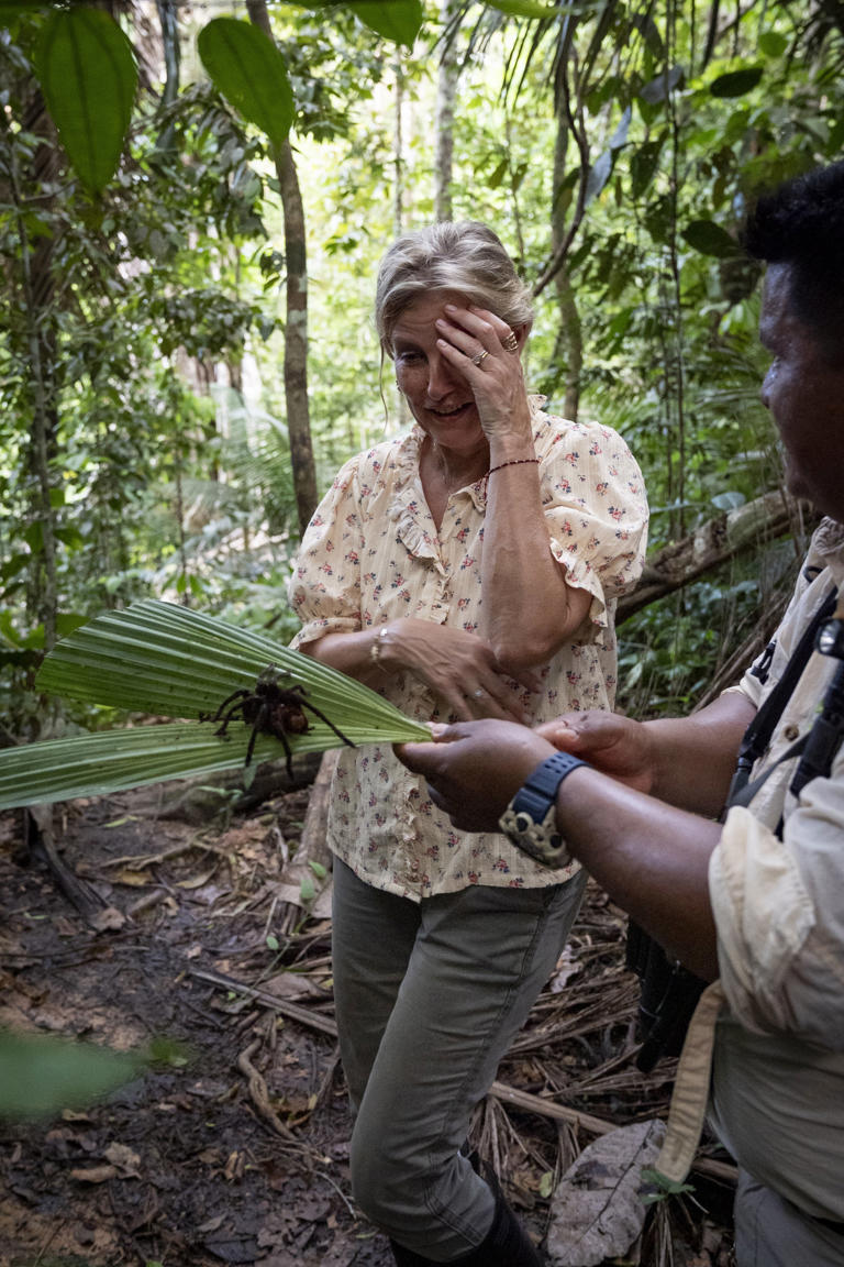 Duchess Sophie comes face-to-face with bird-eating spider in Amazon