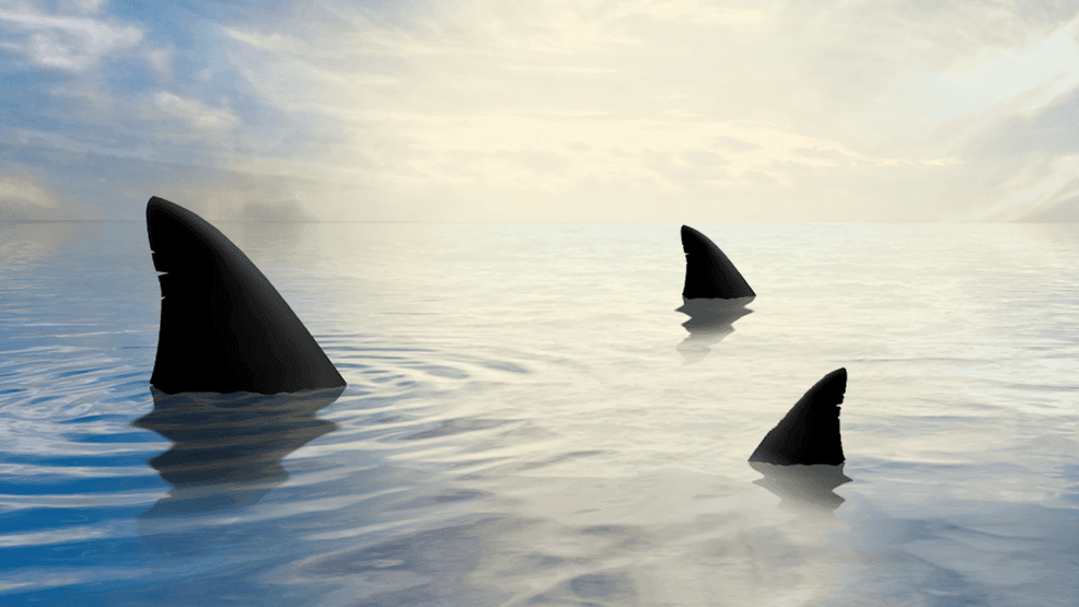 North Carolina launches first statewide effort to track and study ...