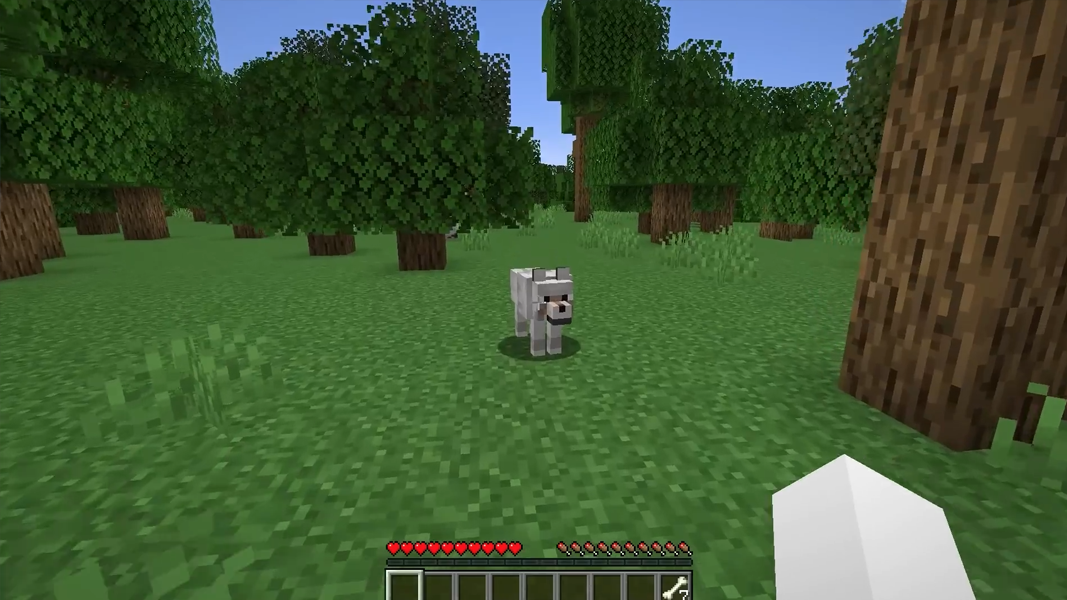 Minecraft Pain Moments