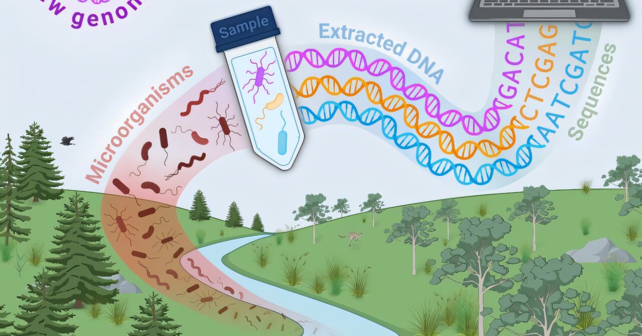 Genomes of 24,000 previously unknown microbes revealed by new tools