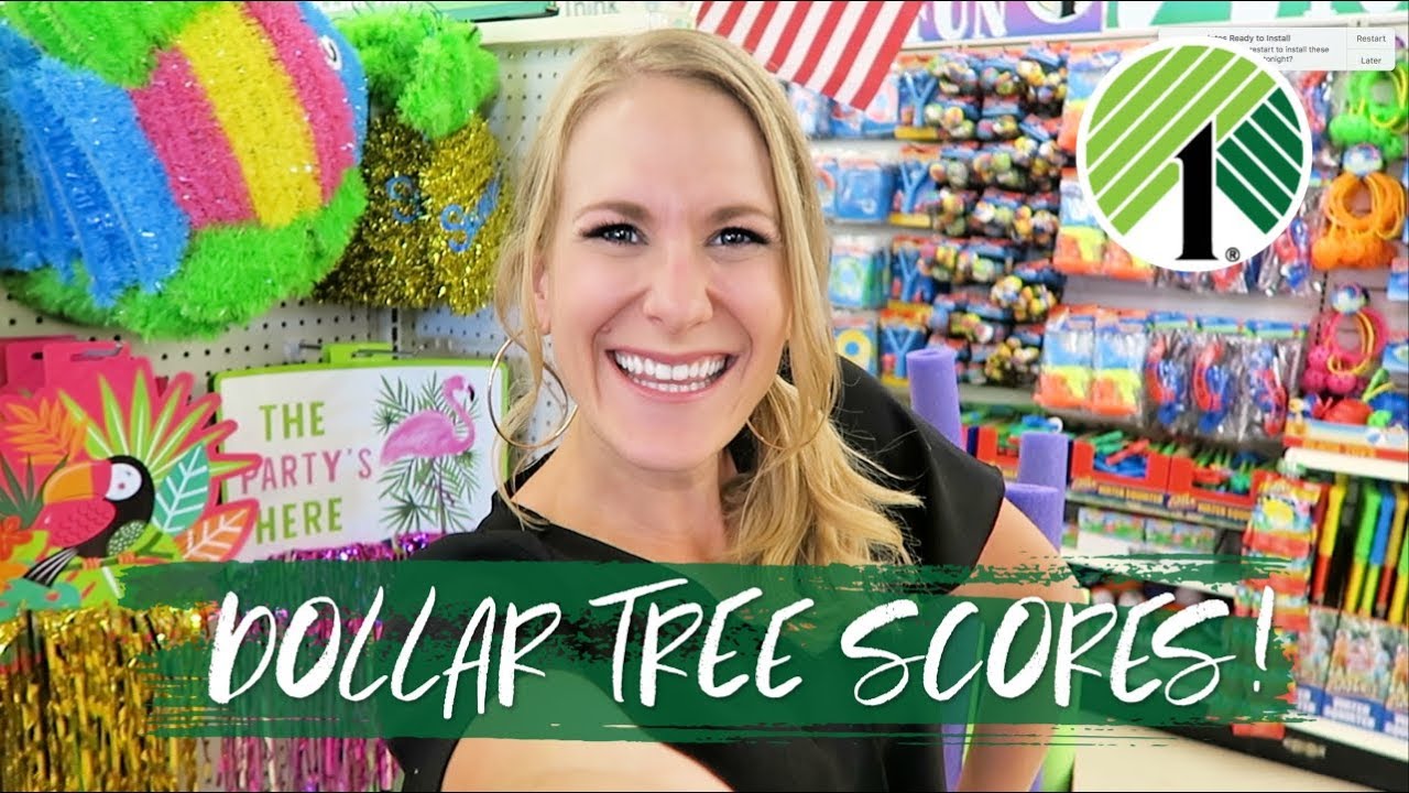 Best Dollar Tree products right now!💚